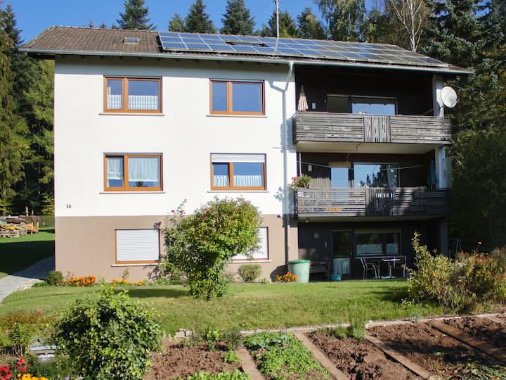 Appartement Avec Cheminée Dans La Forêt-noire - Waldachtal