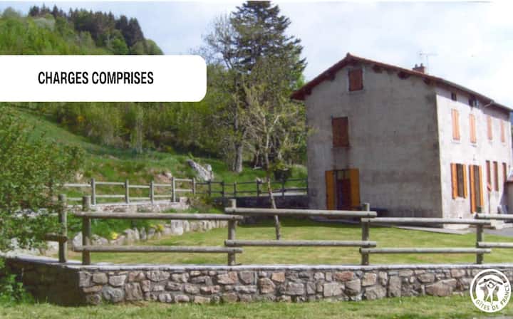 Les Jonquilles - Chalmazel