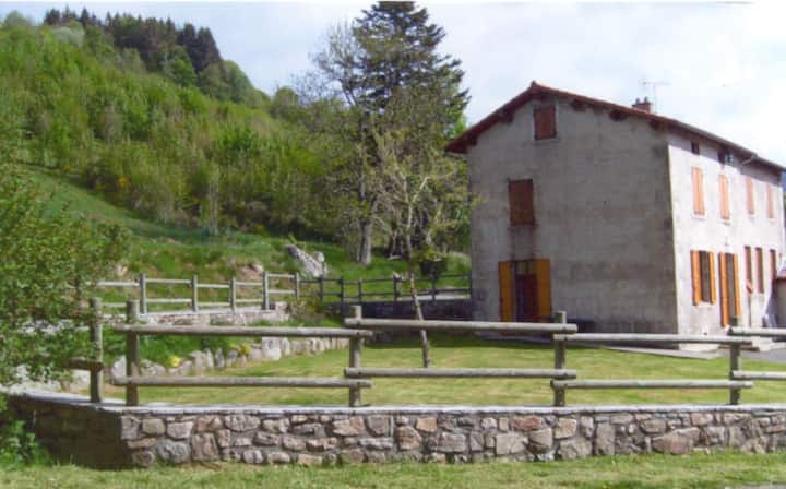 Les Jonquilles - Chalmazel