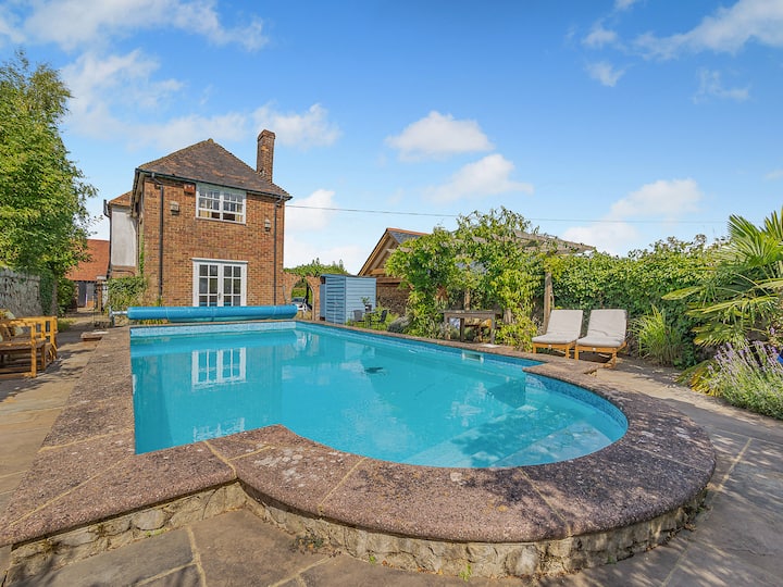 Dunnock - Uk50146 - Faversham