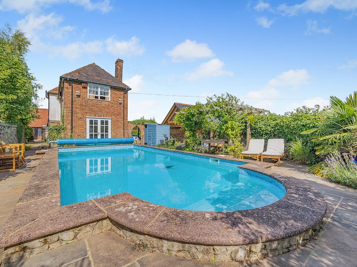 Swallow - Uk50155 - Faversham