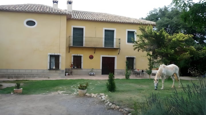 Agroturismo Las Nieves Sur - Bullas