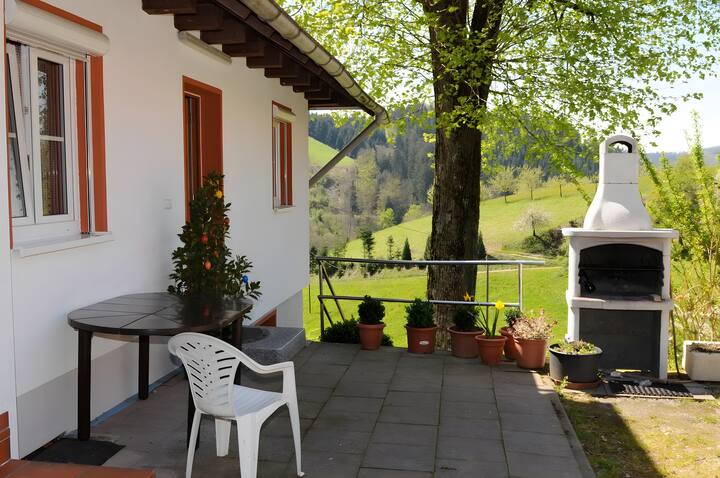 Talblick - Oppenau