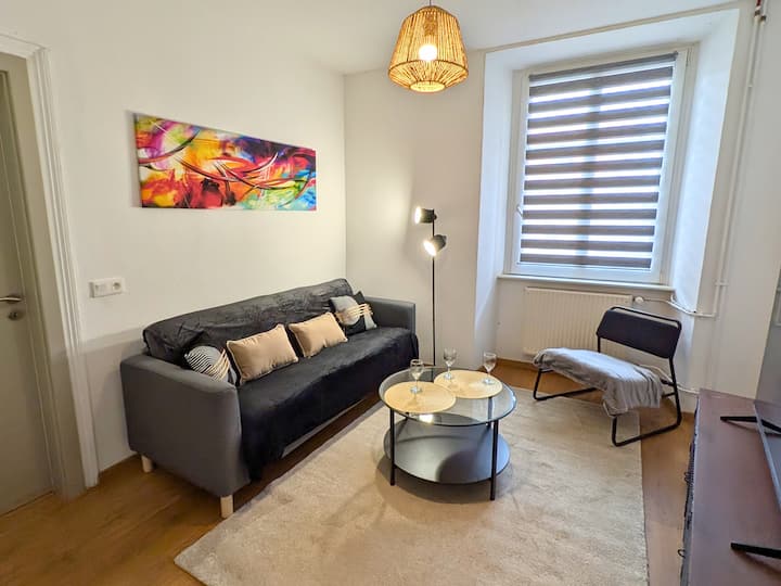 Appt, Centre, Queen Bed,  Wifi - Cernay