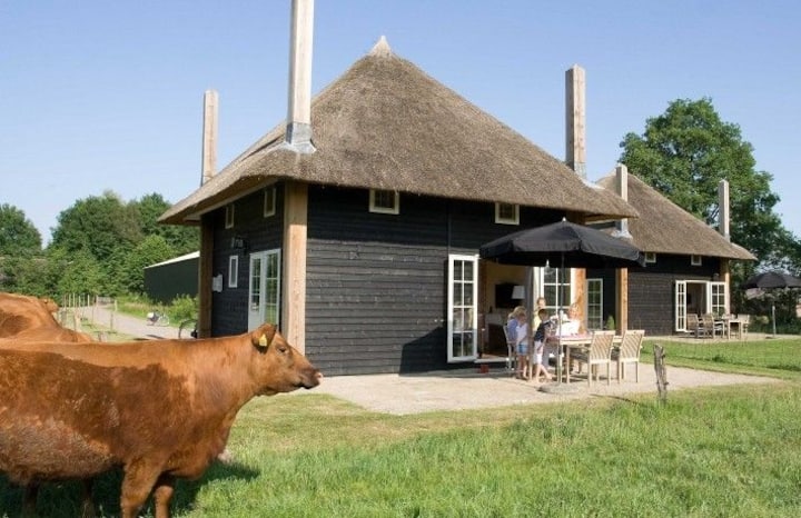 Reggehooiberg - Wierden