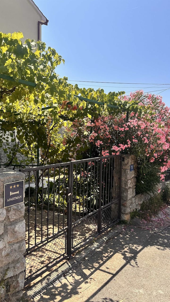 House Malin - Apartment Malin - Lussinpiccolo