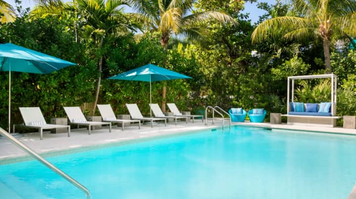 Modern Glamour | Dolphin Watching. Gym - Key West