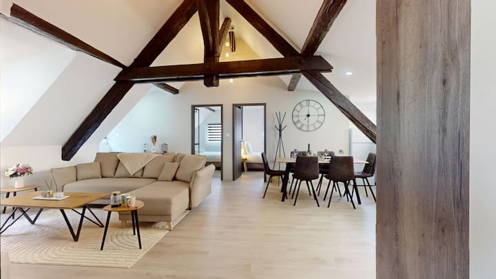 Le Big Bag 5 Chambres Appartement Familial - Colmar
