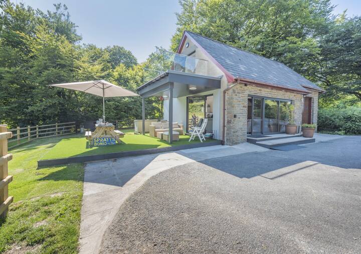 Bryn View - Lampeter