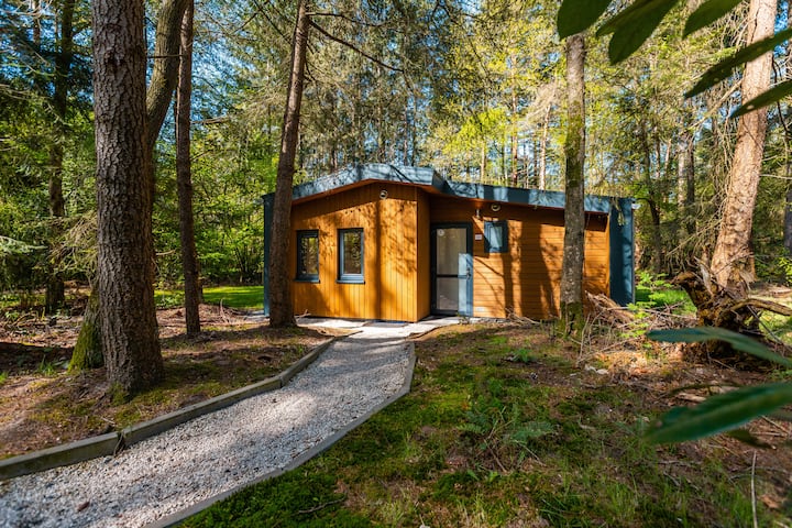 Zandborg Lodge | 6 Persons - Holandia