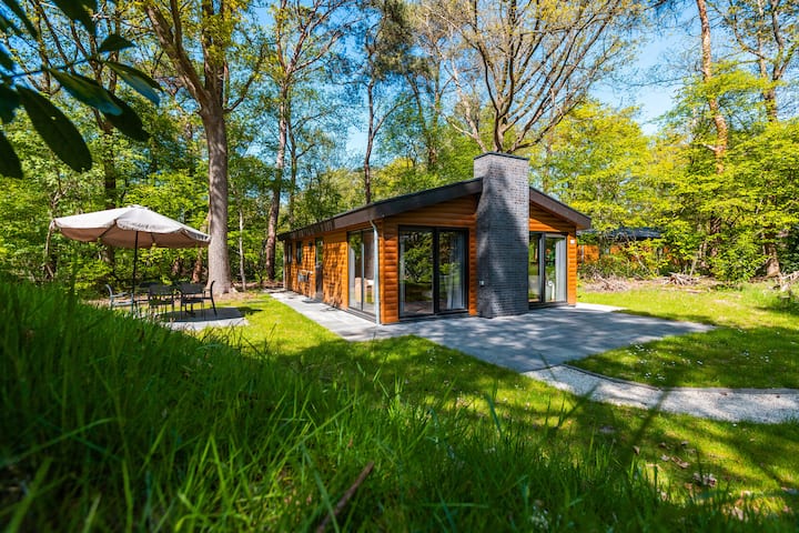 Esborg Lodge With Hot Tub | 6 Persons - Hoogeveen