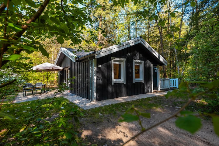 Houtenborg Lodge | 4 Persons - Hoogeveen