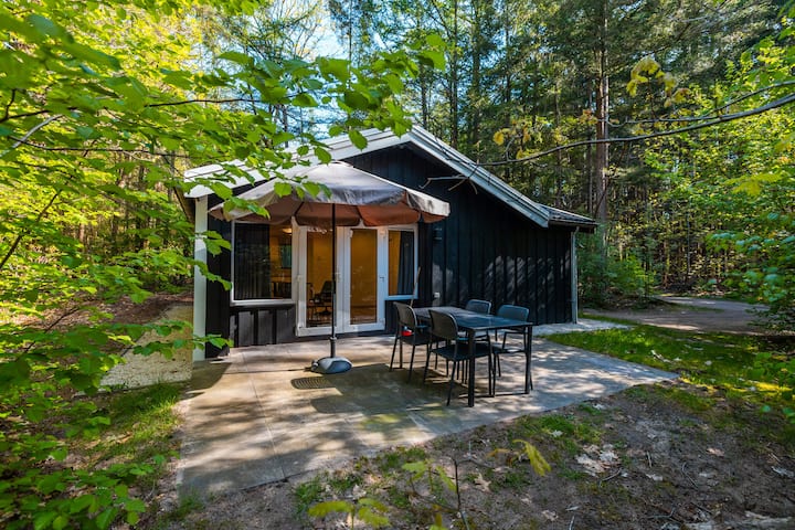 Houtenborg Lodge With Hot Tub | 4 Persons - Hoogeveen