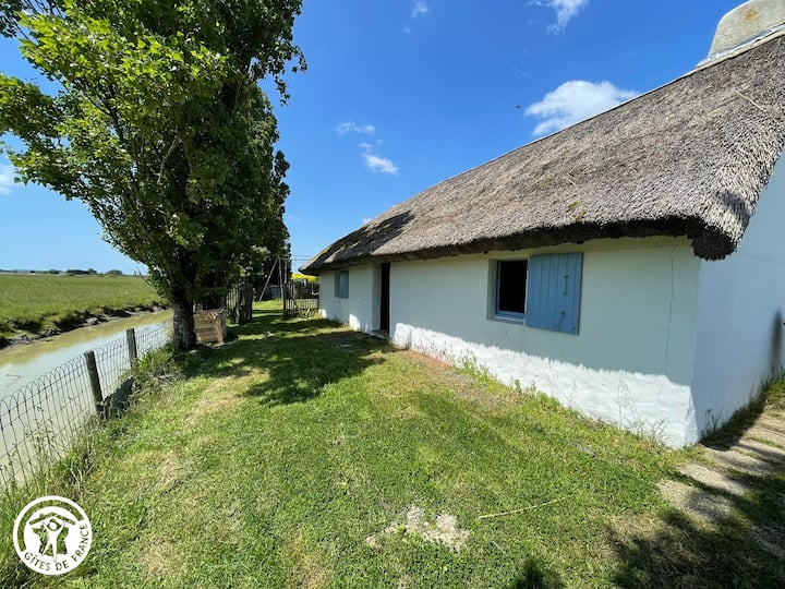 Gîte Beauvoir-sur-mer, 2 Pièces, 2 Pers. - Fromentine