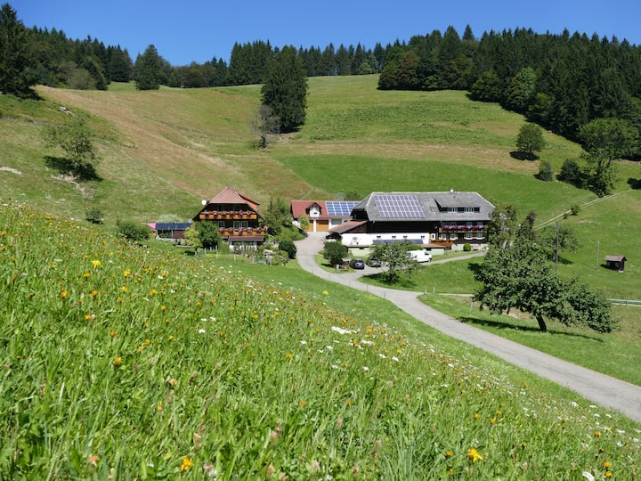 Ferienwohnung Auszeit -Gipfhof- - Horben