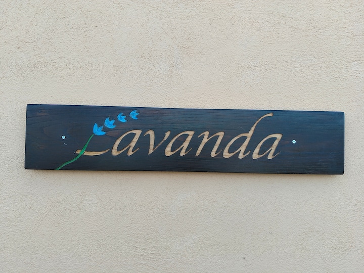 Il Pollino - Lavanda - Grosseto