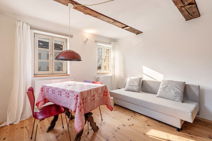 2 Zimmer Ferienwohnung Elbblick - 드레스덴