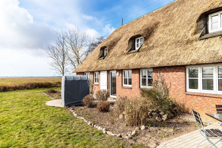 Schipp Landen Frida - Husum