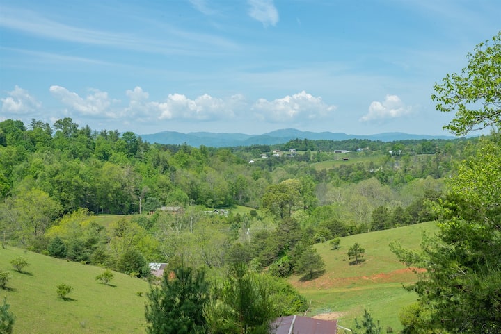 Goats, Games & Views! Hot Tub + Karaoke Fun - Weaverville, NC
