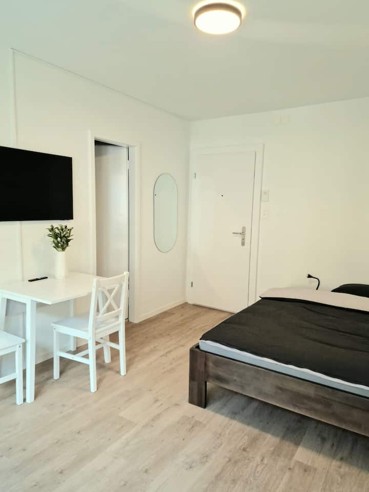 Double Apartment With Balcony - Berne