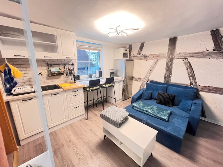 1-raum Ferienwohnung - Erfurt