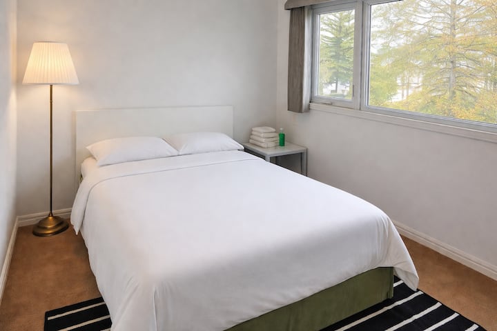 Room 3 Downtown Queen Room — Near Somba K’e Park - Yellowknife