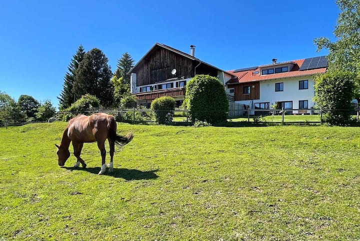 Alpen Panoramahof Mit Zwei Schlafzimmern - Nesselwang