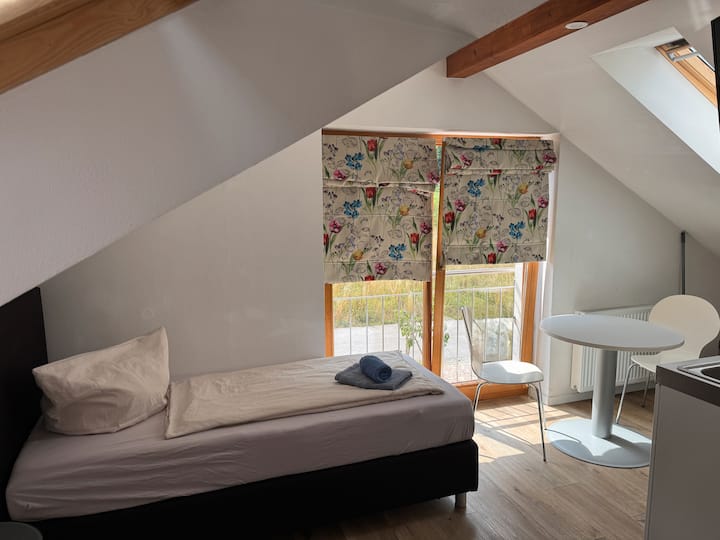 Bergblick Dachapartment - Bodman-Ludwigshafen