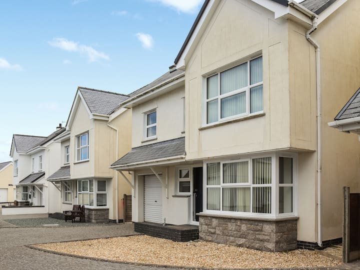 Dolphin - Trearddur Bay