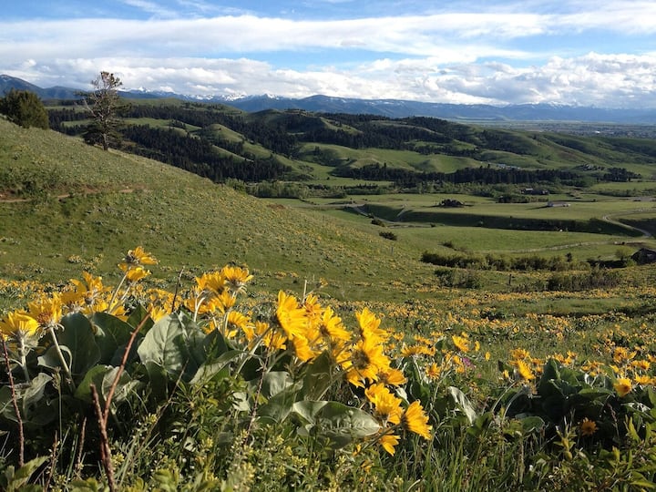 Relax Amidst The Comforts Of Green Mountains - Bozeman, MT