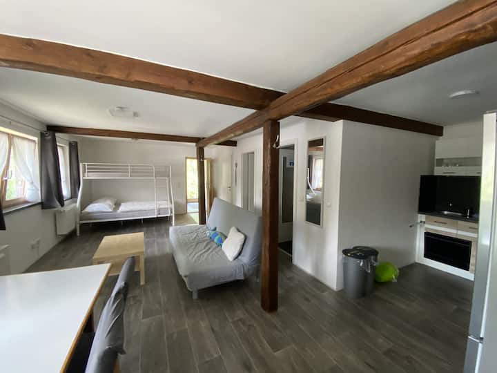 Appartement-classique-salle De Bain Privée-vue Sur - Ofterschwang