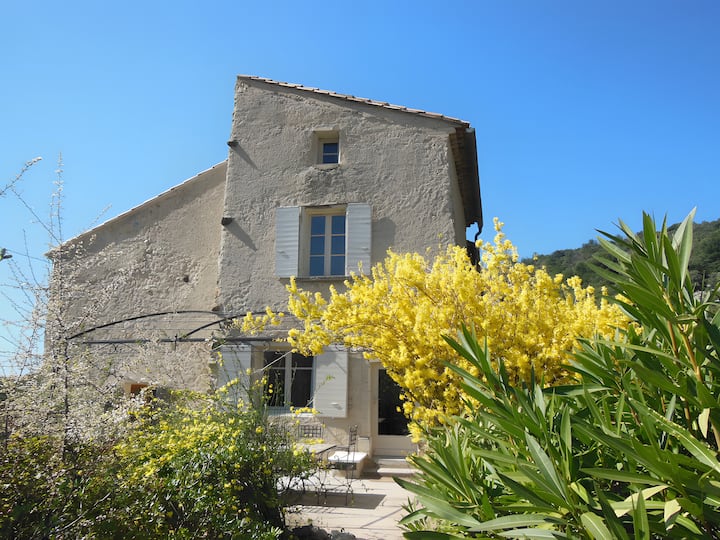 Sur Les Contreforts Du Mont Ventoux - Mont Serein