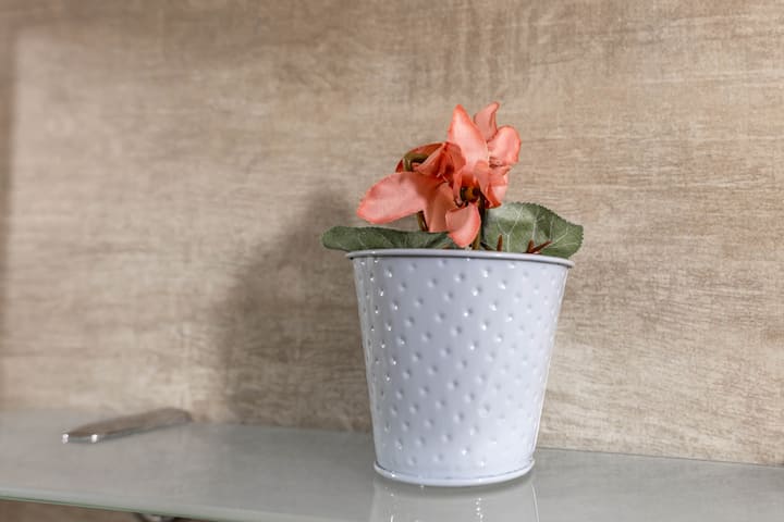 Binario 1 - Affitti Brevi Italia - Bari