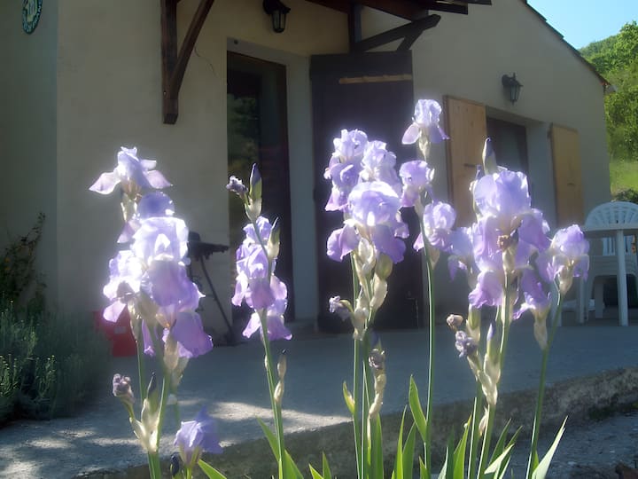 Location Gîte Les Iris - Alpes-de-Haute-Provence