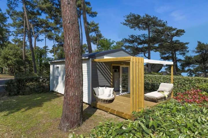Camping 4 éToiles - Piscine  - Ccbbiai - Île d'Oléron