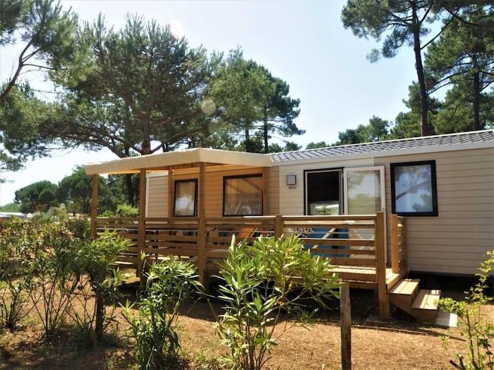 Camping 4 éToiles - Piscine  - Ccbbib0 - Saint-Trojan-les-Bains