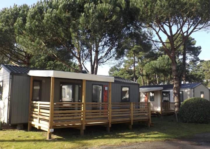 Camping 4 éToiles - Piscine  - Ccbbibe - Saint-Trojan-les-Bains