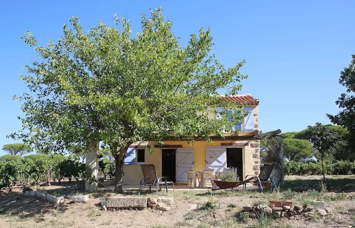 Maison La Garde-freinet - La Garde-Freinet