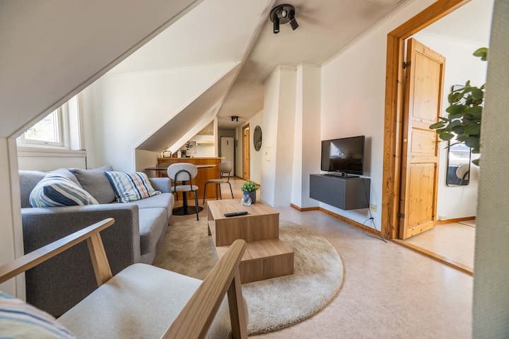 3br Loft-apartment Near Downtown & Ocean - Bergen