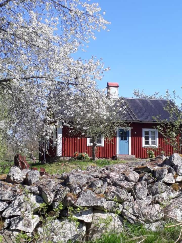 Hökarydlund - Secluded Cottage In The Forest - Alvesta