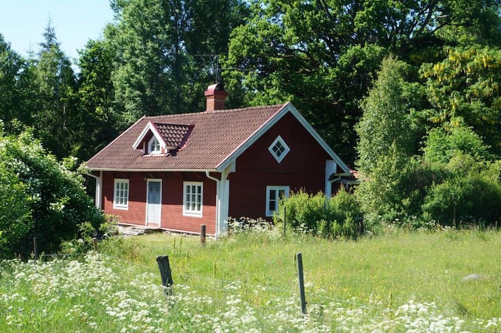 Nederåsen - Spacious Cottage At Edge Of Forest - Alvesta