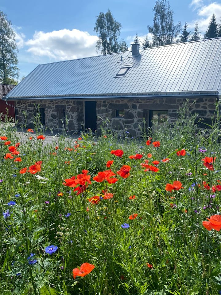Stone Barn - A Modern Home In An Ancient Barn - Alvesta