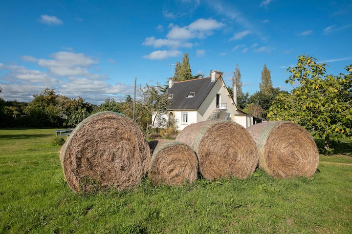 Maison Plouha Proche Plage - Plouha