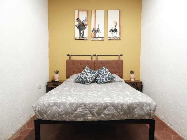 Suite Rústica Rooftop A 450 M De Teatro Juárez #2 - Guanajuato