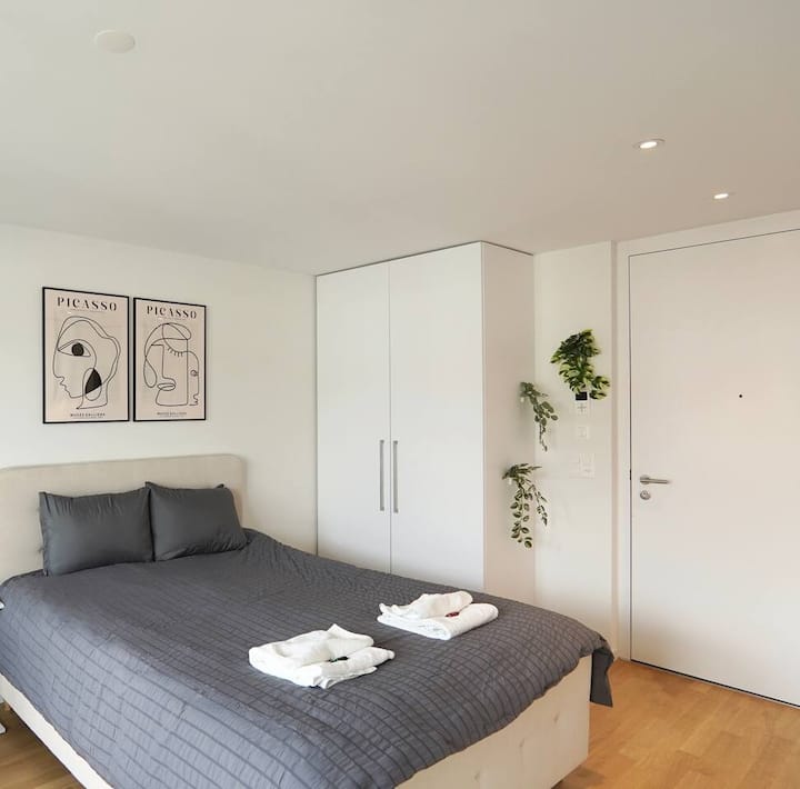 Stylish City Center Studio W/ Balcony - Zurich