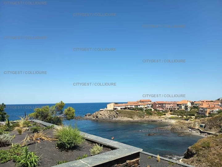 4arap04 - Appartement Standing Vue Mer - Colliure