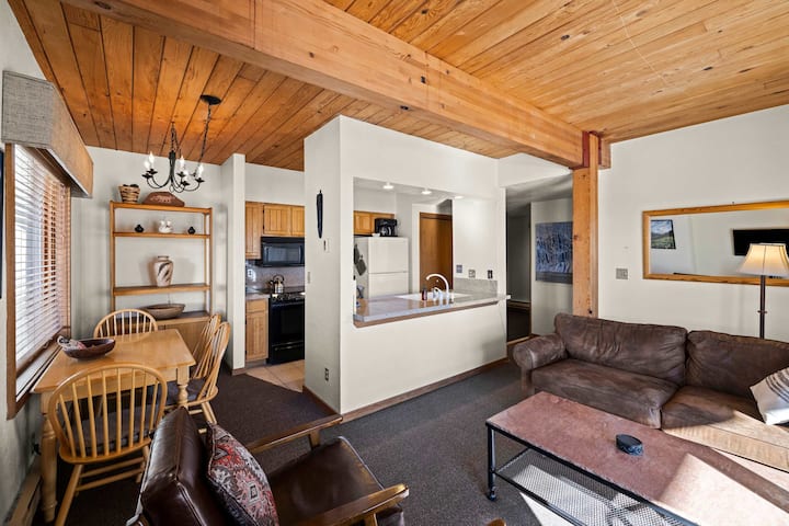 Cozy 1 Bedroom With An Expansive View! - Crested Butte, CO