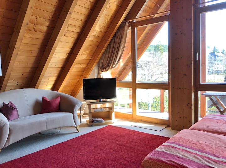 Studio-apartment Mit Balkon 40qm - Hinterzarten