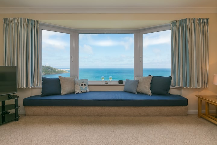 Dolphin Watch - Marazion