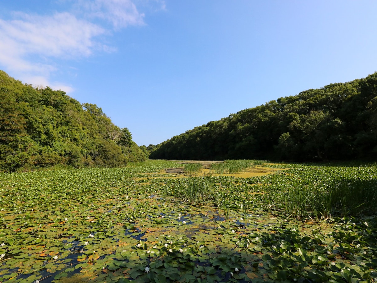 2 Cheriton Cottages - Houses for Rent in Stackpole, Wales, United ...